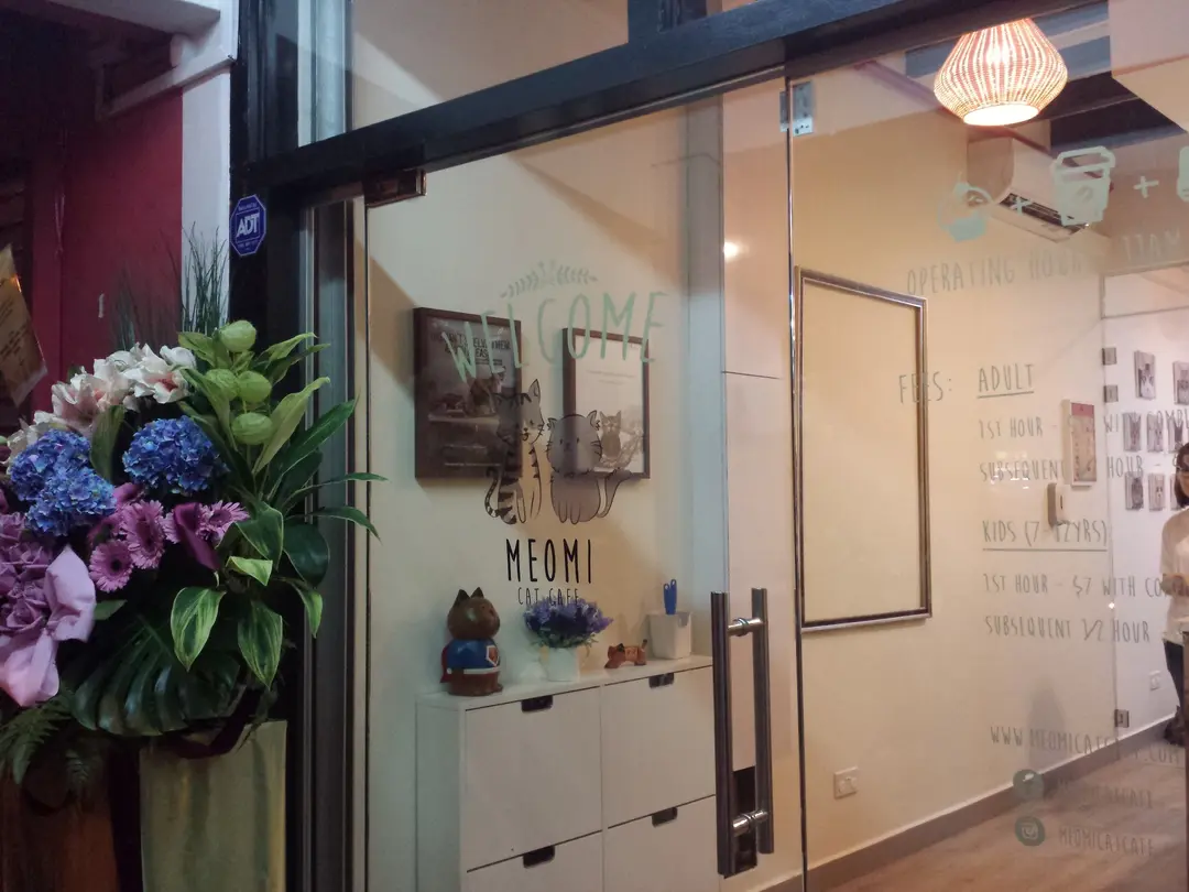 Meomi Cat Cafe's Review - Desserts and Cakes Café Pets Friendly in ...