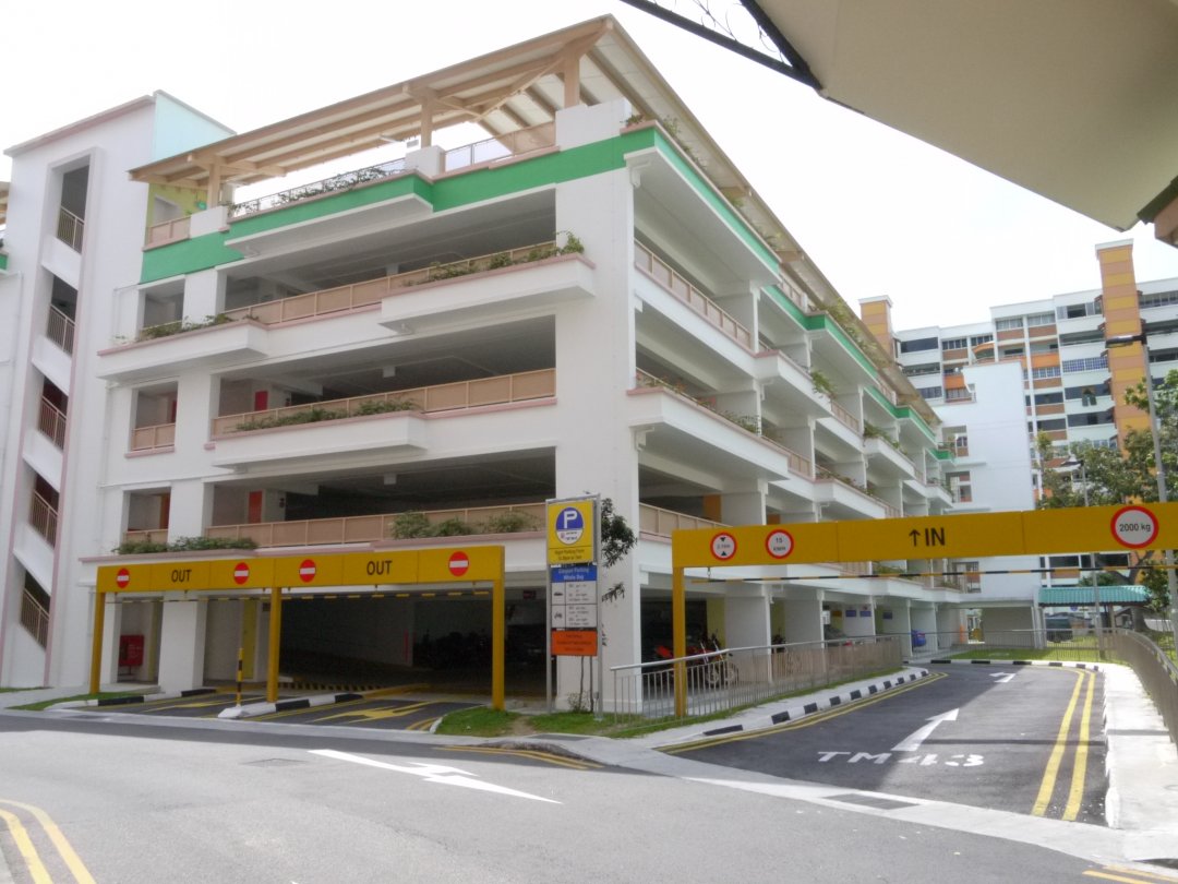 Chang Cheng Chinese Mixed Vegetable Rice's Photo - Food Court in ...